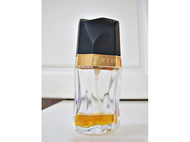 Knowing Estee Lauder
