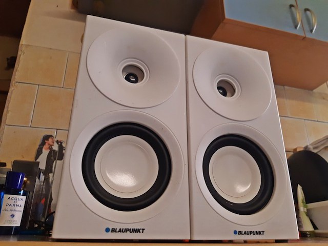 BLAUPUNKT Dvosistemske Bookshelf Z. Kutije-MS 30bt