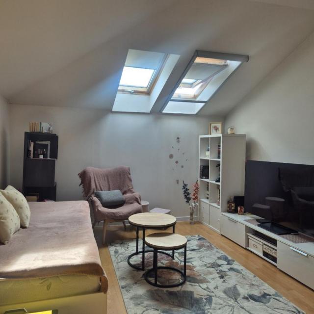 Garsonjera, 24 m², Novo Naselje, Novi Sad, 5. sprat