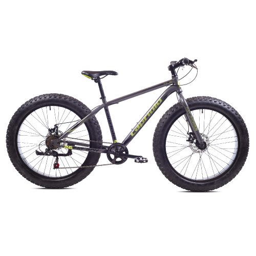 Capriolo Bicikl Fat Boy 26 Sivo-žuto