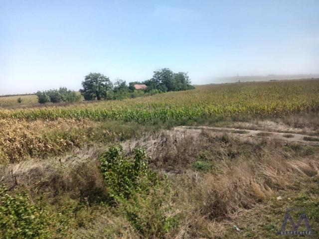 Sirig - u blizini glavnog puta, prodaje se salaš sa 4 jutra zemlje, uknjižen. 
Salaš se nalazi na d