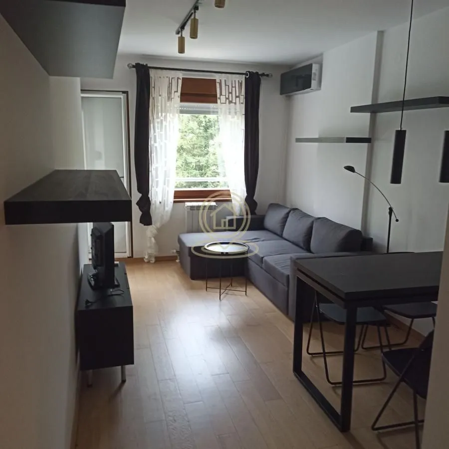 Izdavanje, dvosoban stan, 37m², Vračar Sve Podlokacije, Beograd