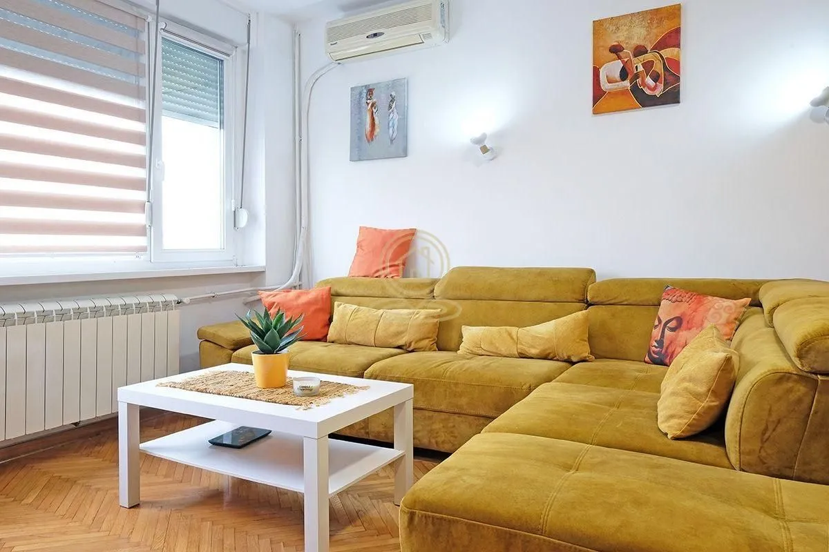 Izdavanje, dvosoban stan, 45m², Vračar Hram, Vračar Sve Podlokacije