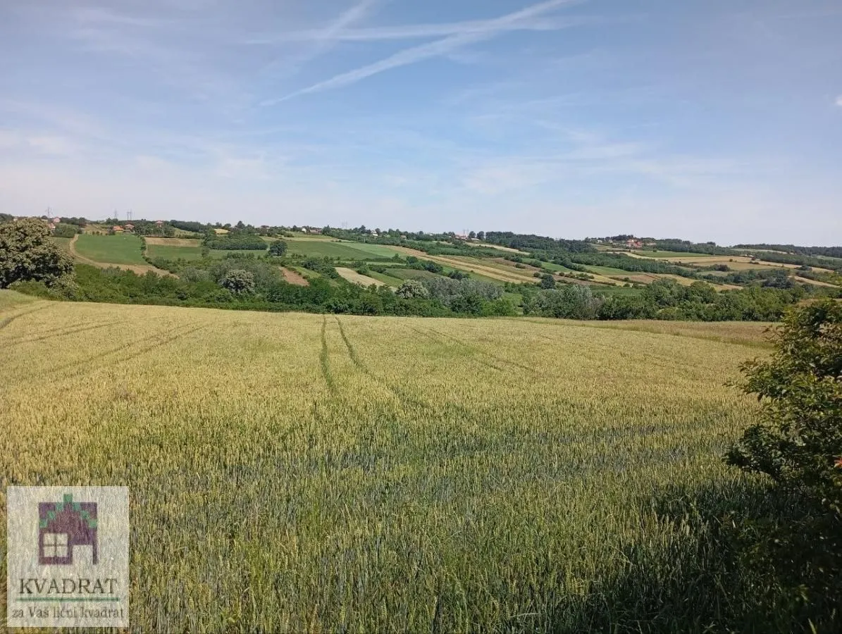 Prodaja, plac, 10000m², Draževac, Obrenovac