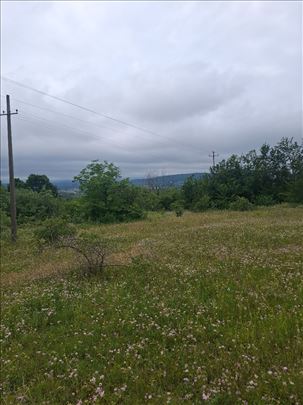 Plac - građevinsko zemljište, Topola - žabare