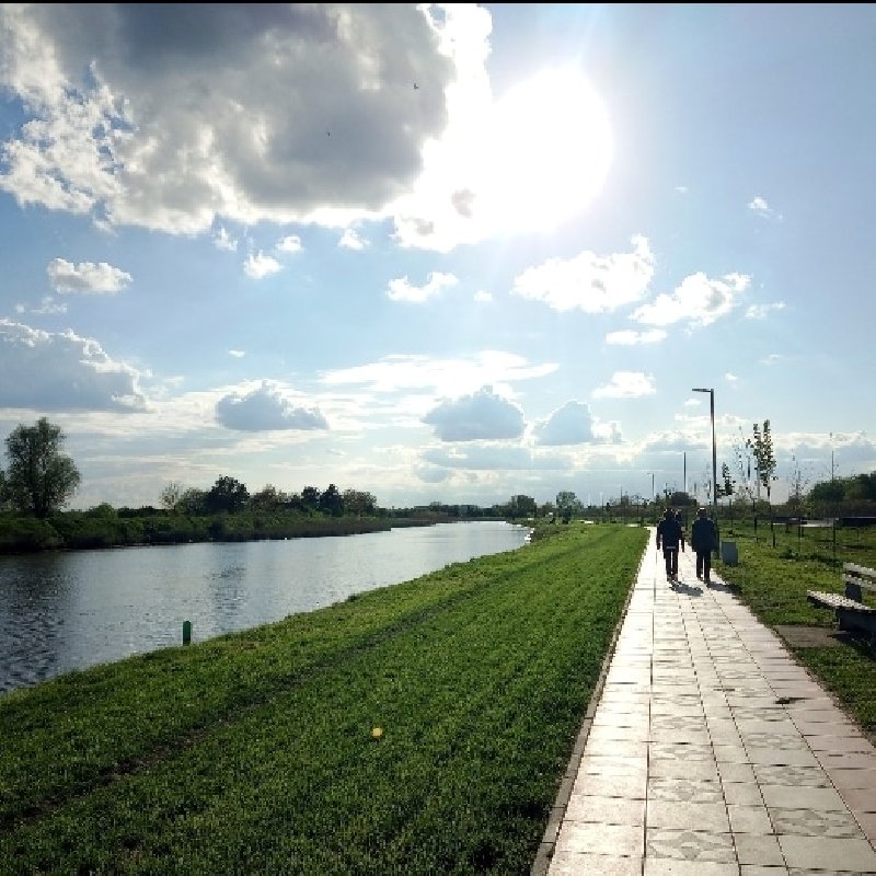 Mlađi momak nudi provod ili poslovnu saradnju