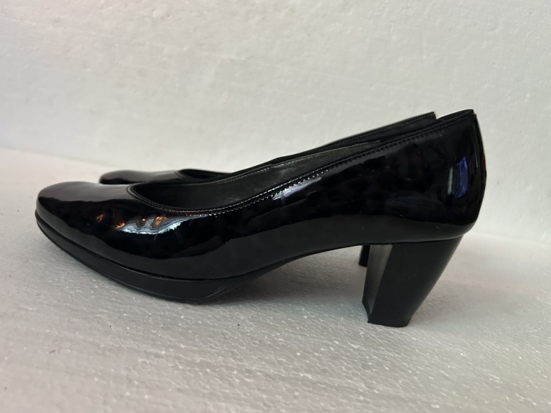 ARA pumps Salonke