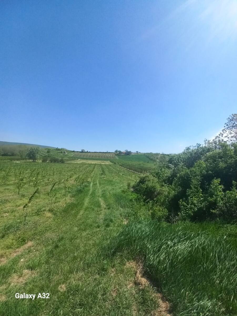 Plac, Irig - Irig-Hopovo | Prodaja · 4300m² · 138.000€