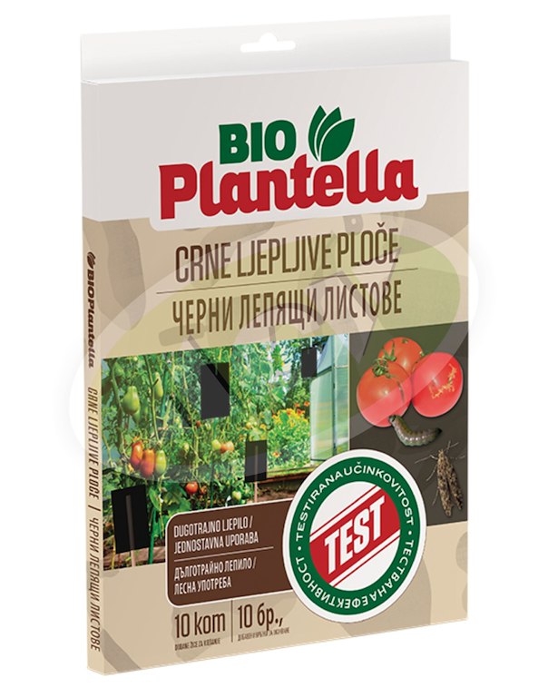 PLANTELA CRNE LEPLJIVE PLOCE 10|1 24X17