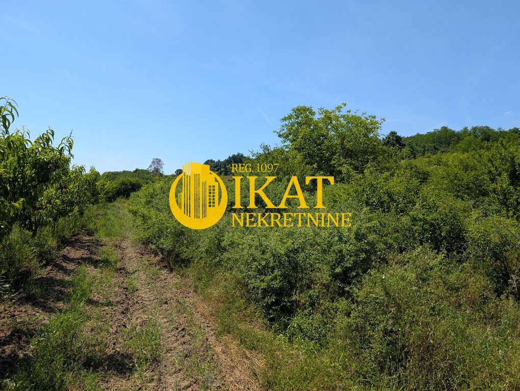 Mali Požarevac, plac 70 ari ID#5158
56.000 €