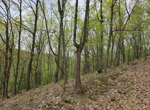 Prodaja Plac - Aranđelovac