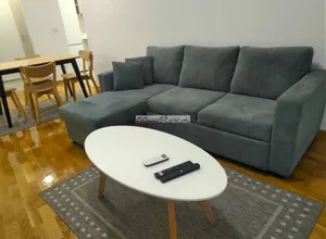 Izdavanje Stan - Beograd, Palilula Centar - Tašmajdan - Pravni fakultet
