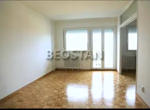Izdavanje Stan - Beograd, Novi Beograd: Mladost