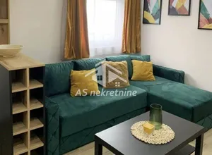 Izdavanje Stan - Beograd, Savski Venac: Senjak - Bara Venecija
