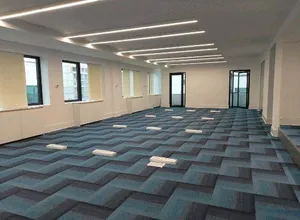 Izdavanje Kancelarija - Beograd, Novi Beograd: Mladost