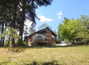 Prodaja Vila - Beograd