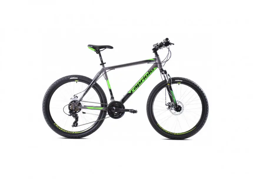 Capriolo MTB OXYGEN 26"21HT sivo-nzel 920423-22
