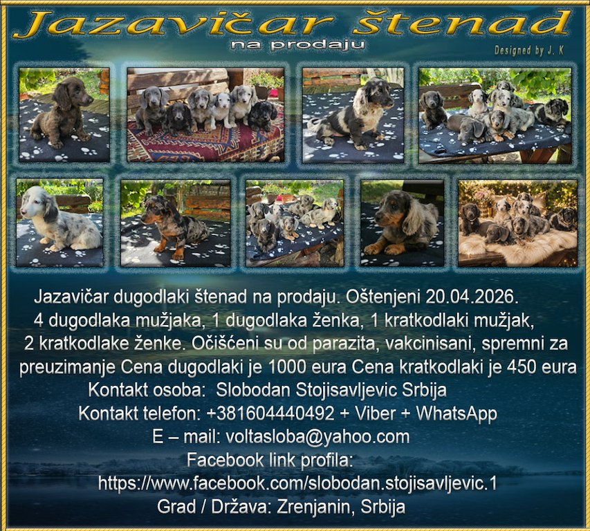 Jazavičar
