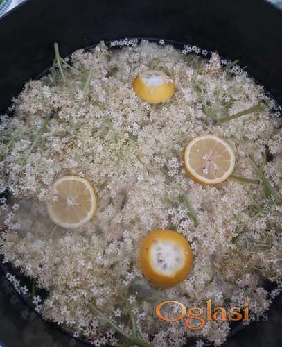 Sirup od zove