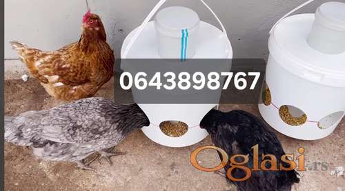 Hranilica za zivinu, koke patke guske sa 0 posto rasipanja hrane