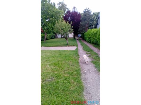 Avala, blizu megamarketa Koka Mar, 200 m2