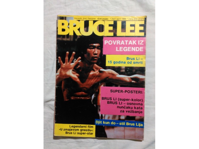 Bruce Lee, Povratak iz kegende, 15 godina od smrti