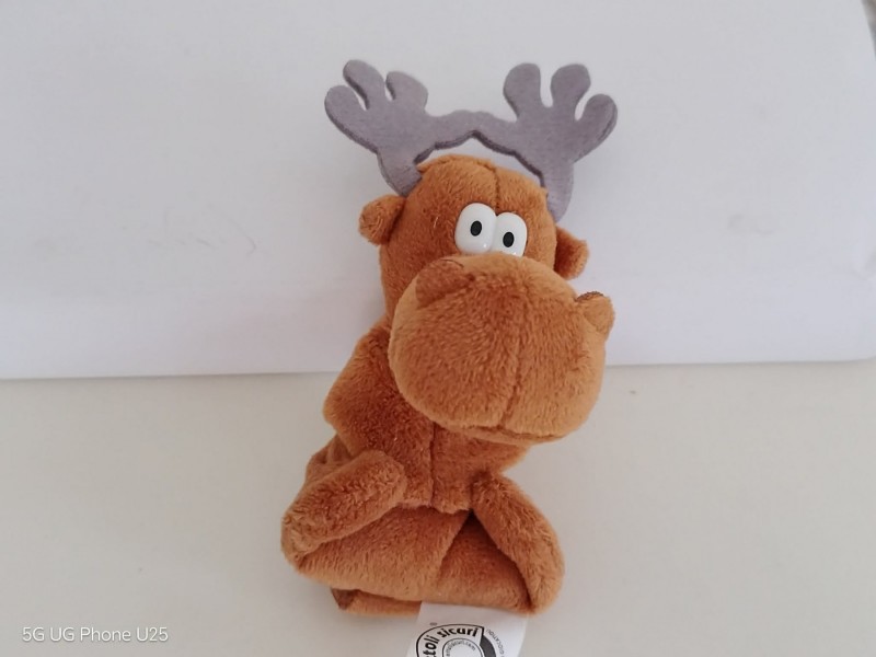 maxi kinder
