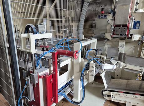 Industrial Robot BCR EP/E-500-D