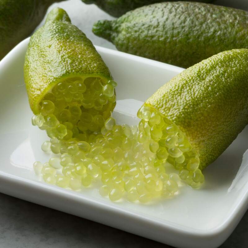 Citrus australasica caviar- Limun Kavijar