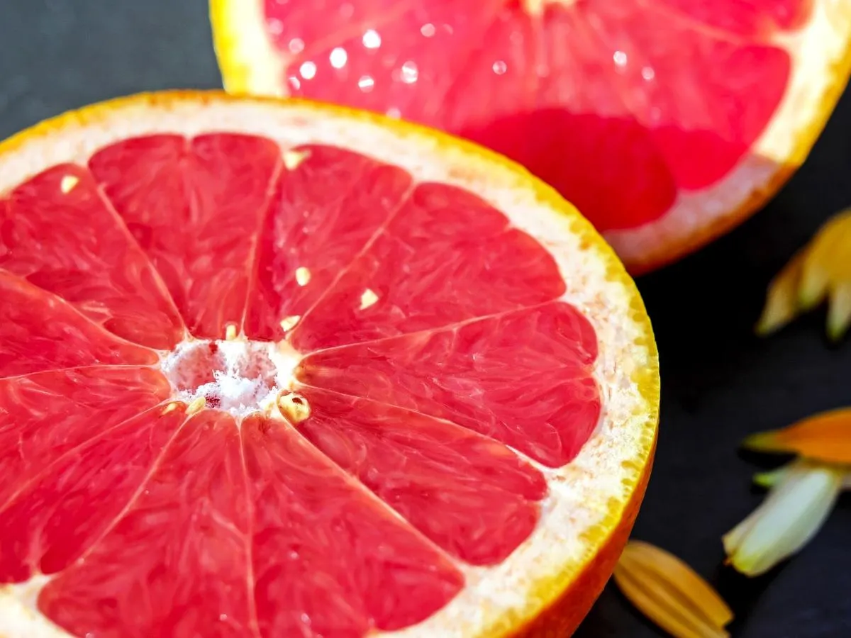 Citrus paradisi pompelmo Grejfrut
