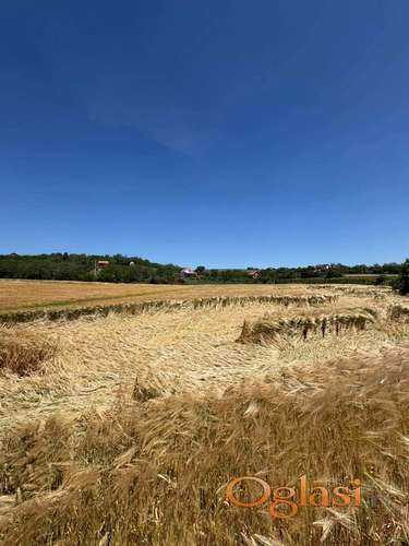Novi Slankamen građevinsko zemljište 1482m2