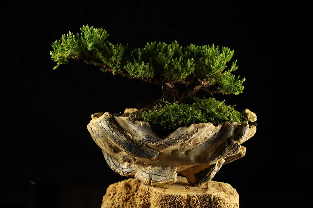 ZANSHIN (残心)