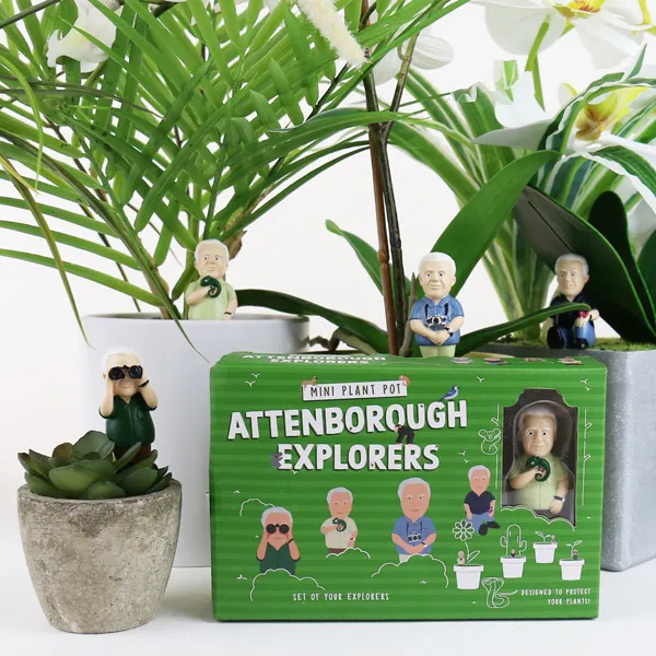 Figurica za saksiju Attenborough Explorers