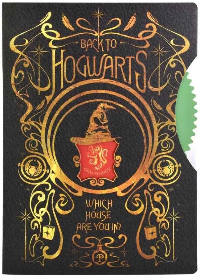 HARRY POTTER notes SPINNER