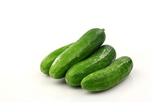 * Domaći krastavac kratki