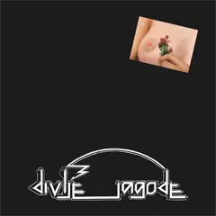 Divlje Jagode - Divlje Jagode [reizdanje 2026] [vinyl] (LP)