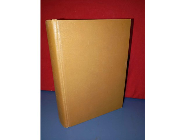PRAKTIČAN ENGLESKO-SRPSKI REČNIK, IZ1933.