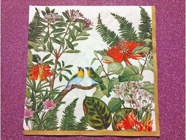 Salveta 33 x 33
