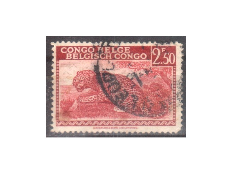Belgijska kolonija kongo