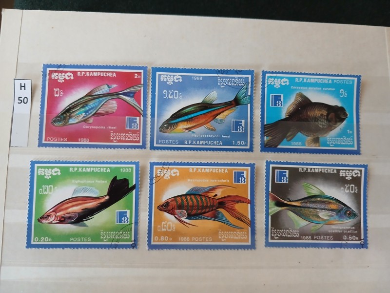 FAUNA RIBE serija
