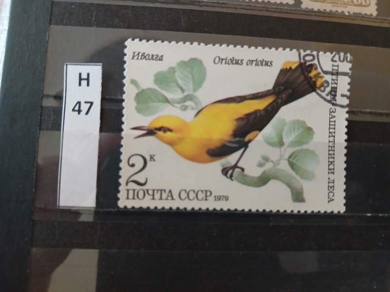 FAUNA PTICA