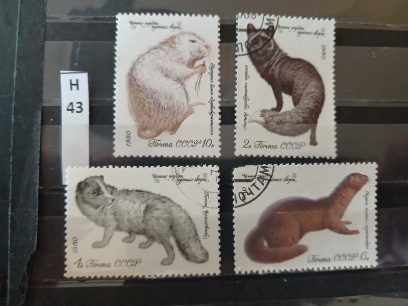 FAUNA
