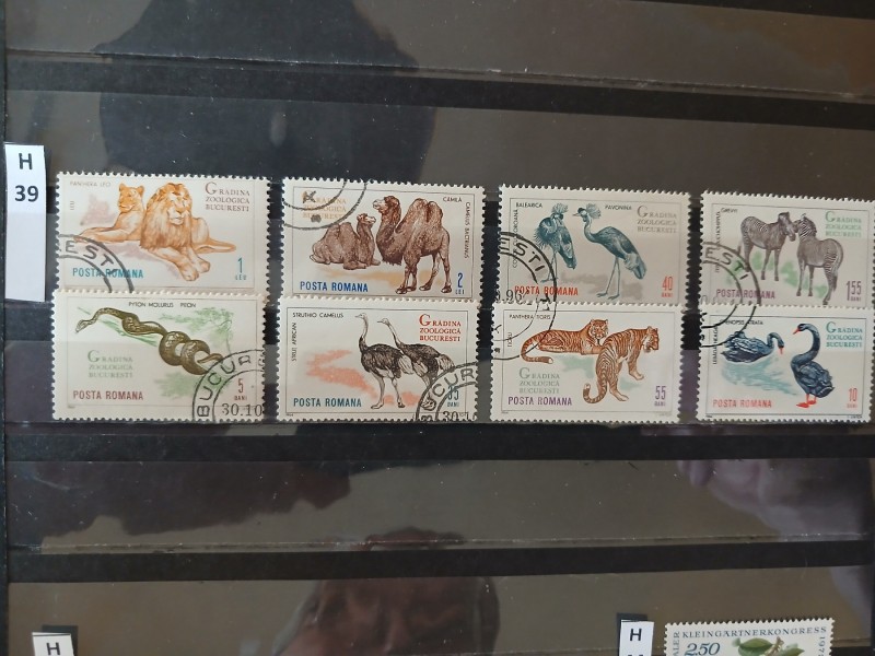 FAUNA serija cela