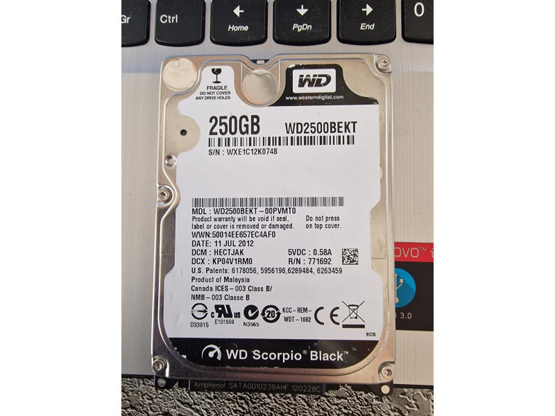 Hard Disk WD 250 GB