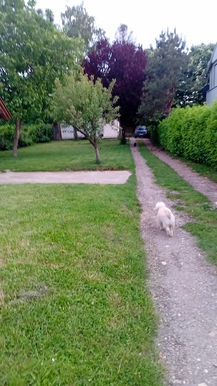 Avala blizu megamarketa Koka Mar 200 m2