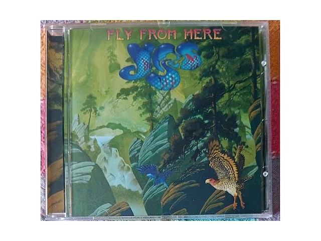 Yes – Fly From Here
