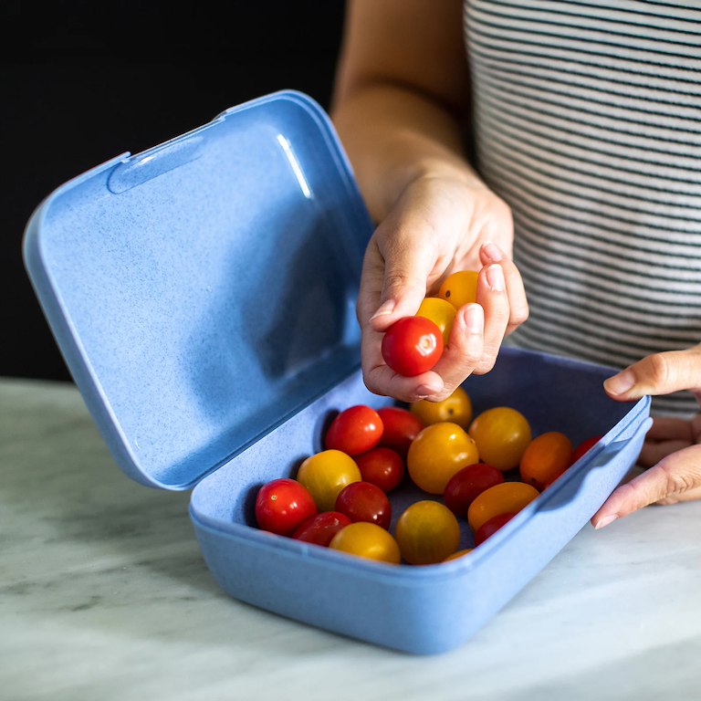 KUTIJA ZA UŽINU – Lunchbox CANDY L