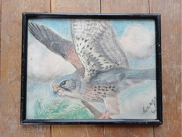 N.N. Kobac - pastel