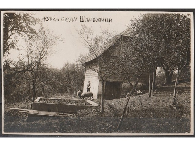Cajetina - selo Sljivovica 1931