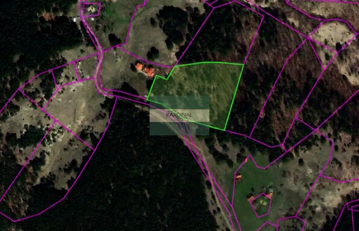 Prodaja, plac, 9547m², Kremna, Užice